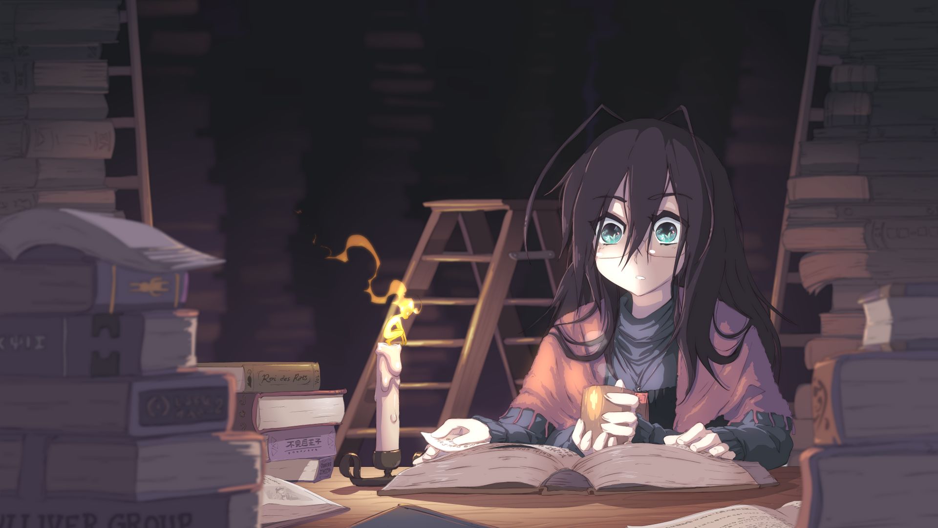 Dimly-Lit Book Cave[Original] | Scrolller