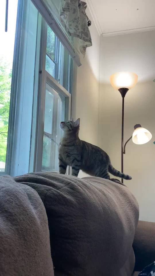 Dinner? Nope. | Scrolller