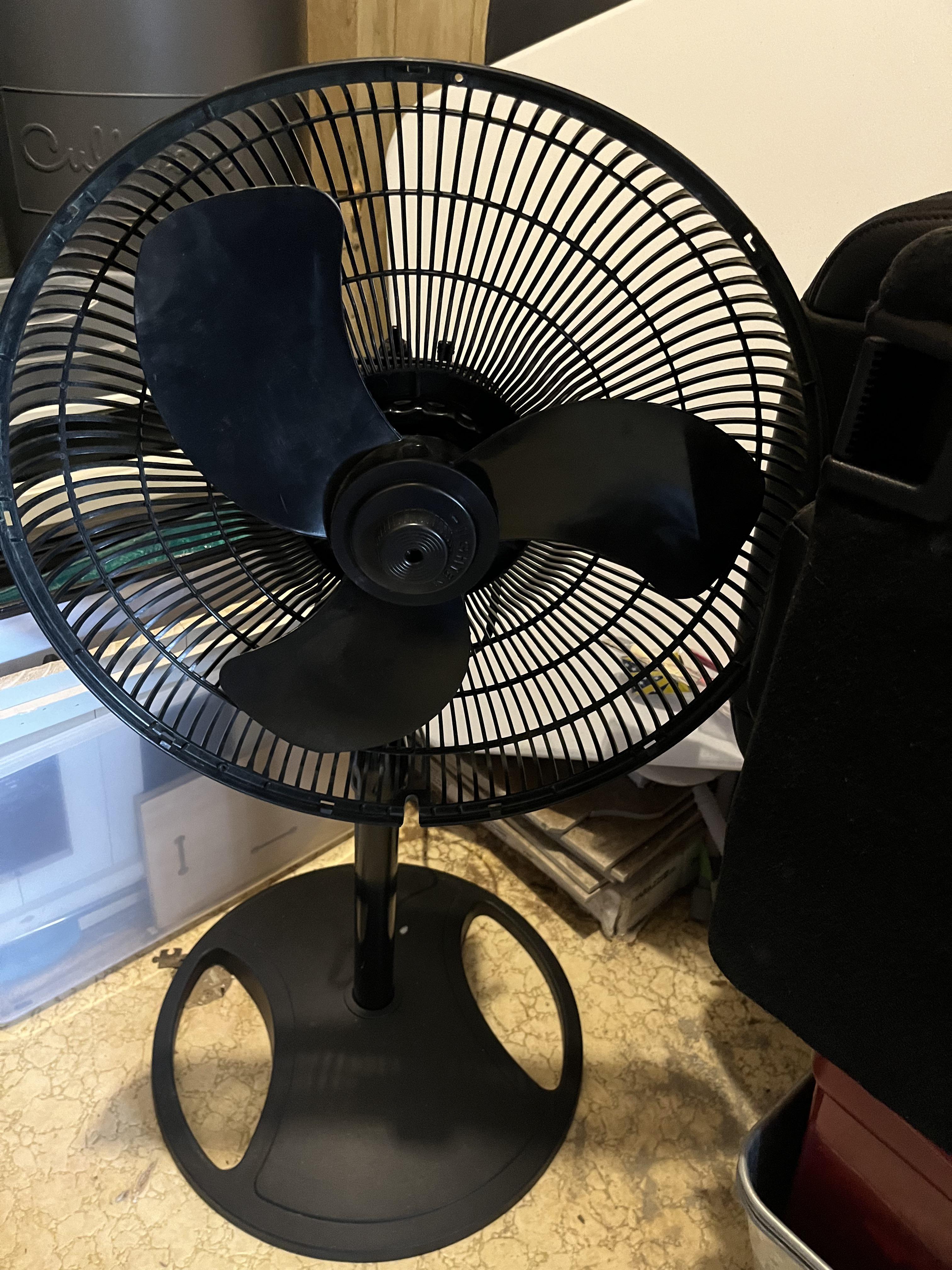 Dirty girl open and exposed | Scrolller