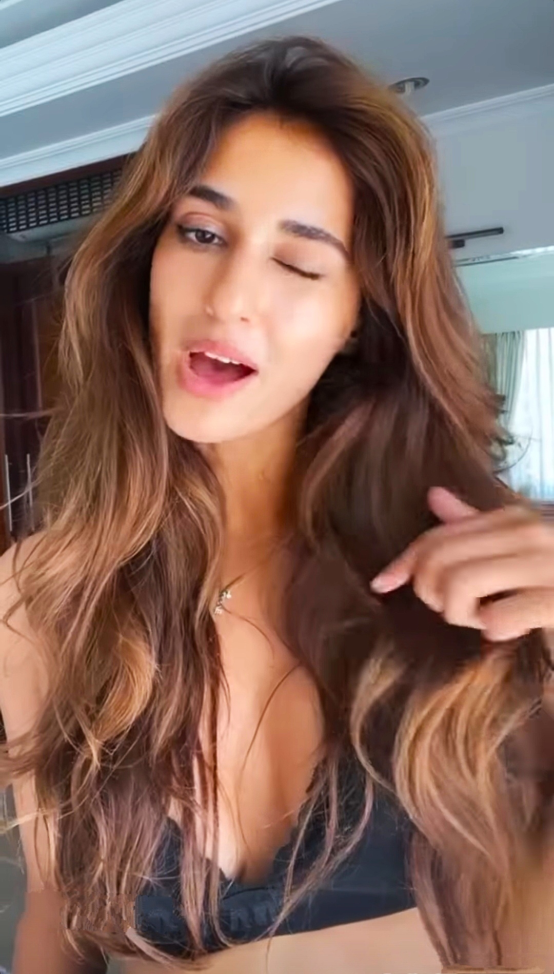 Disha Patani | Scrolller