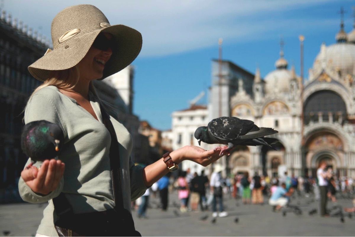 Disney Princess | Scrolller