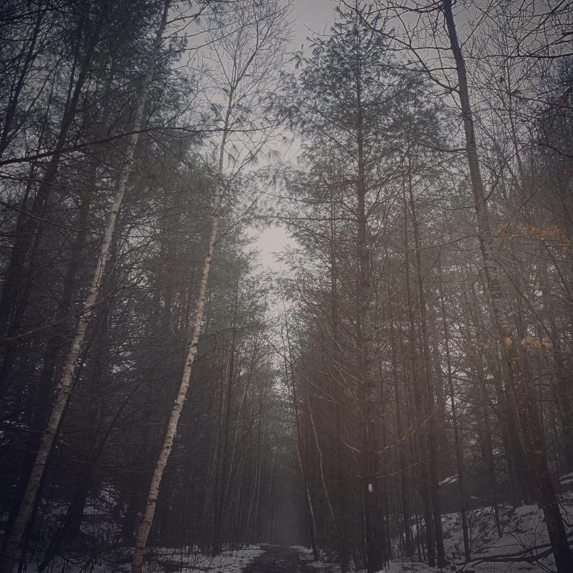 Distorted Sun Rays | Scrolller