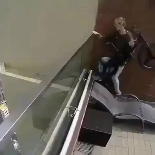 Do a flip! | Scrolller