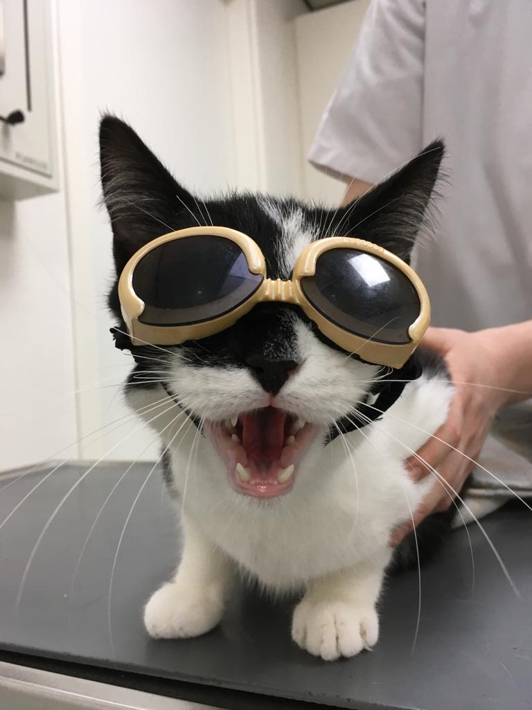 Do glasses count? | Scrolller