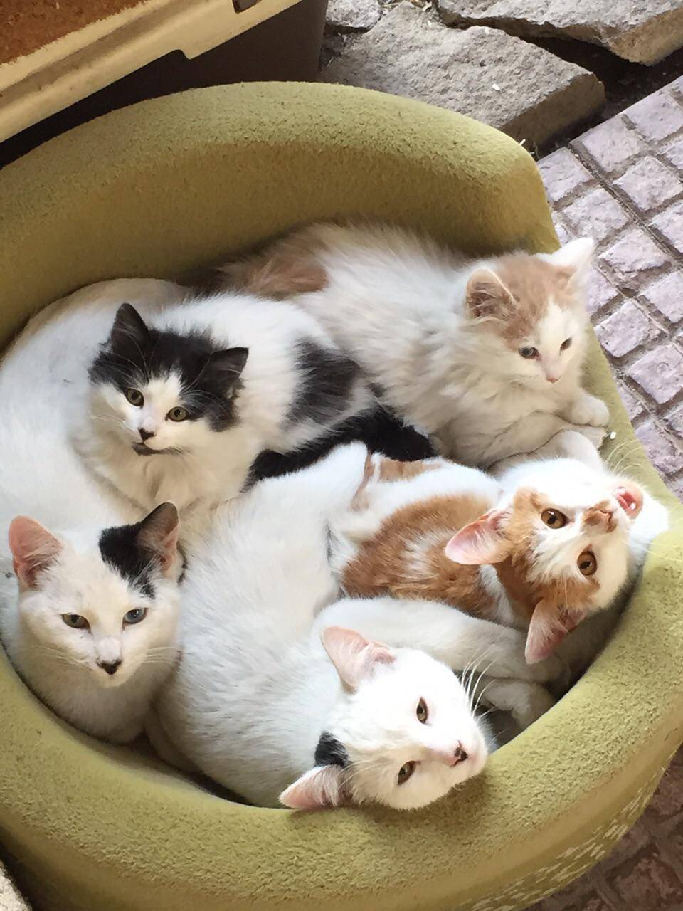 Do group photos count? | Scrolller