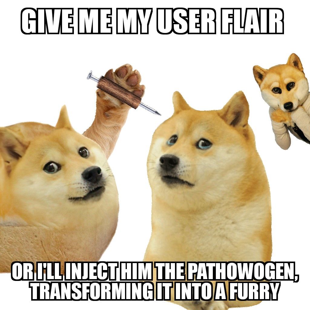 Do it NOW | Scrolller