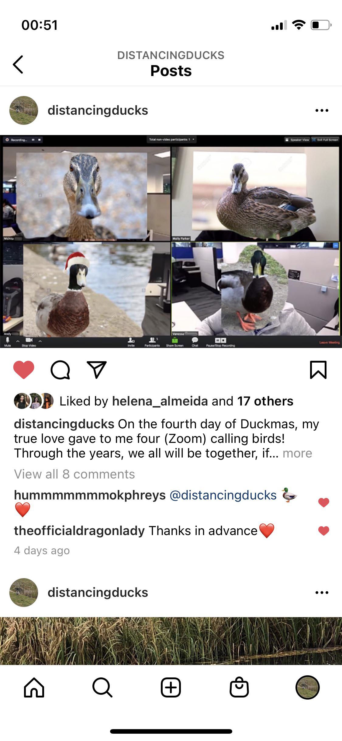 Do you want to spice up your days with some duck Christmas humour? We are doing #Duckmas on our ...