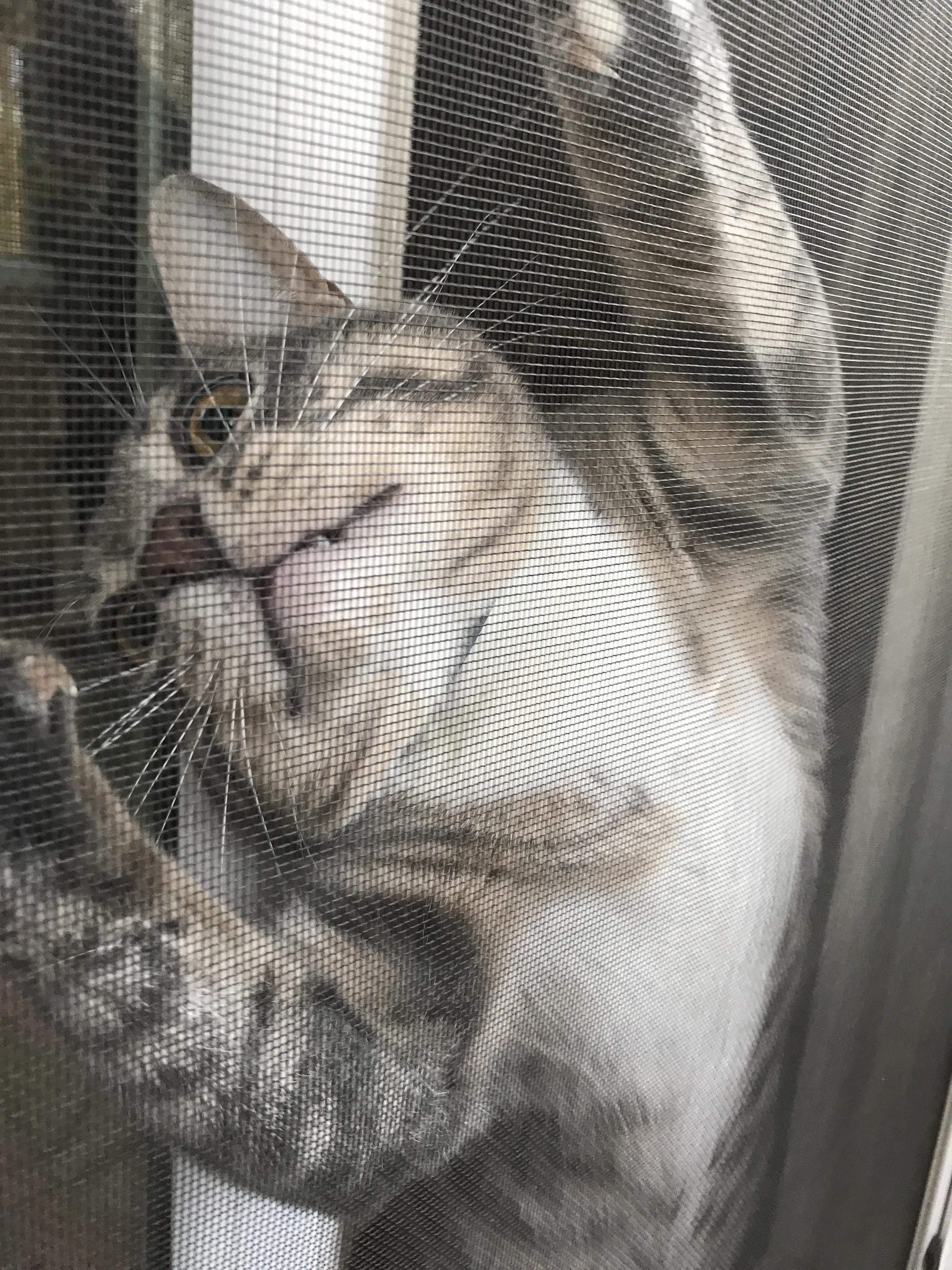 Does half glass full screen count? | Scrolller