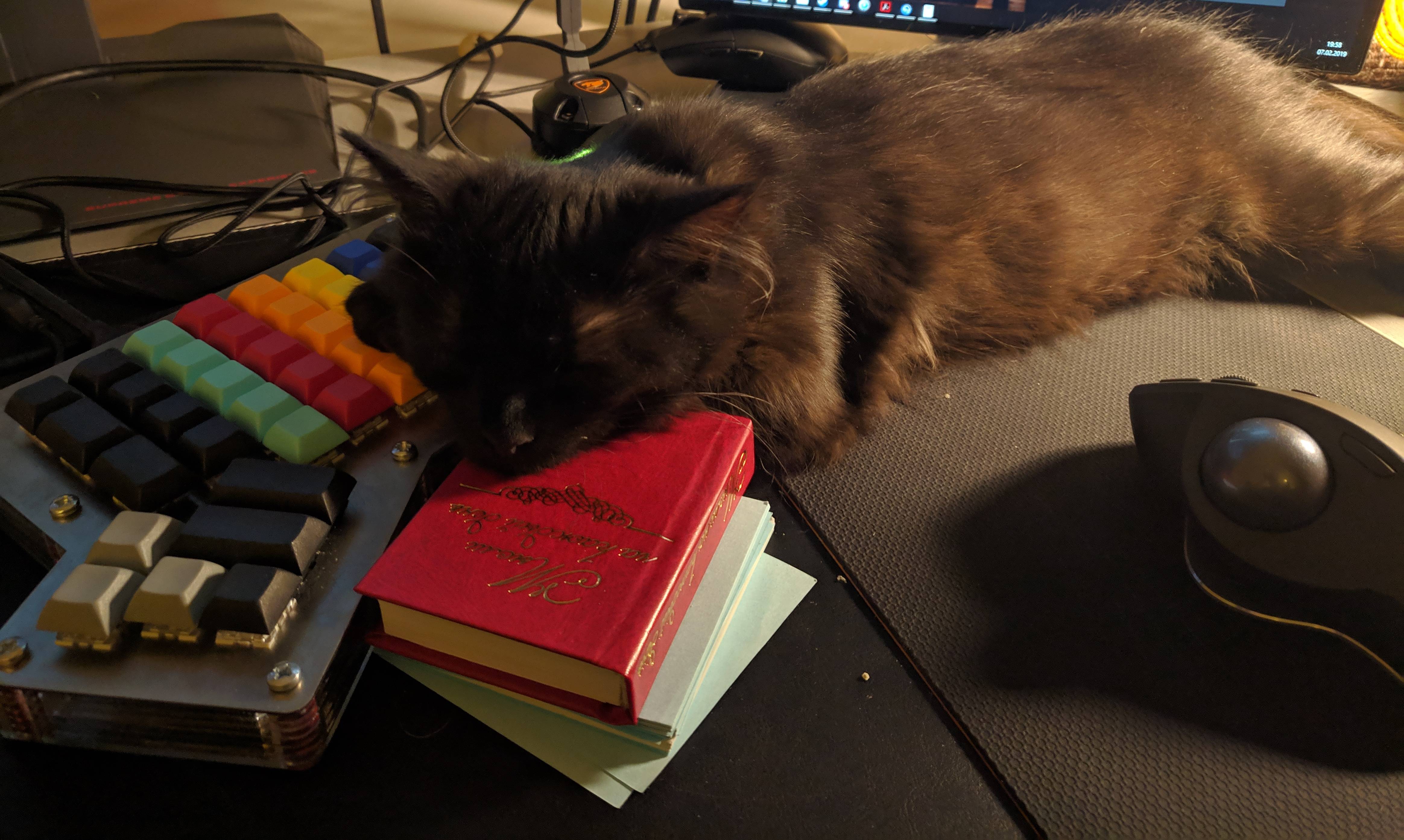 Does this count? | Scrolller