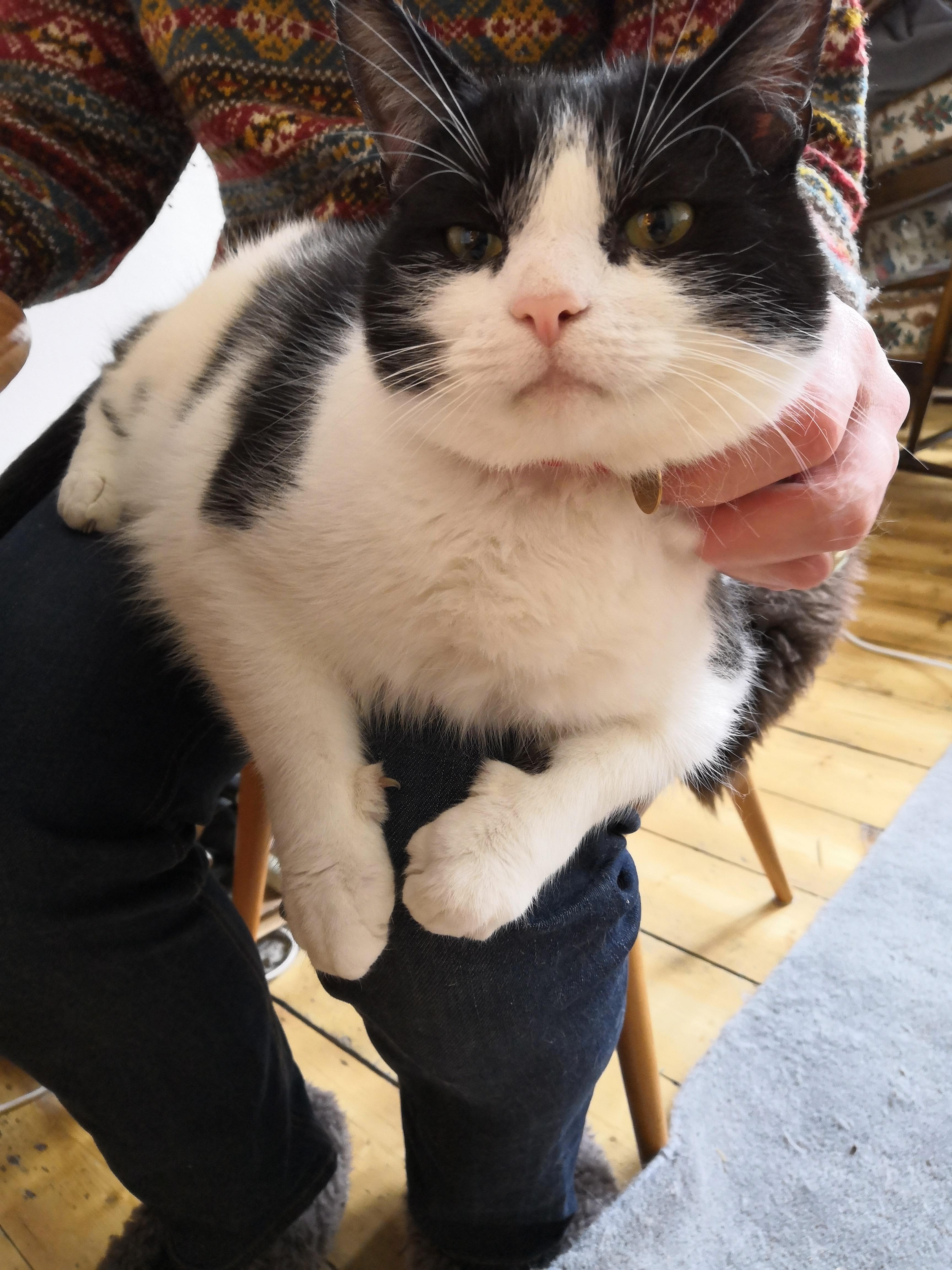 Does this count? | Scrolller