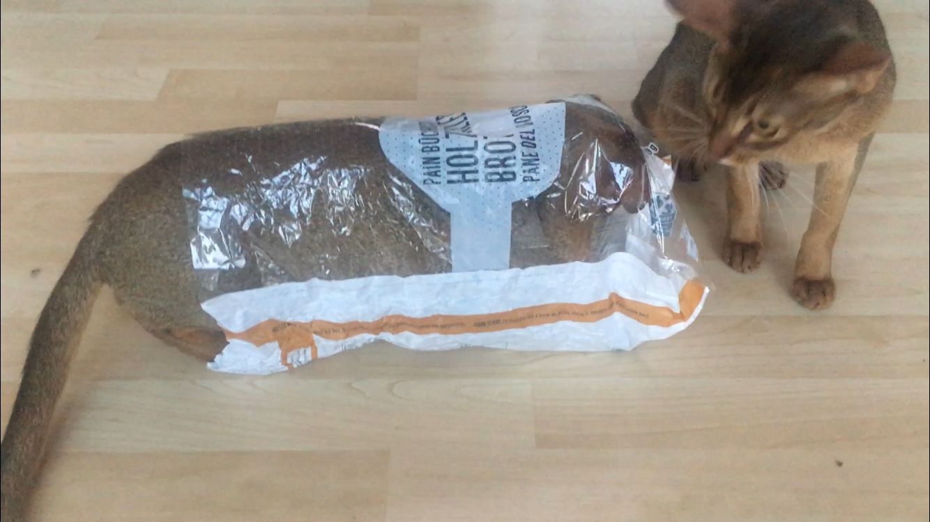 Does this count? | Scrolller