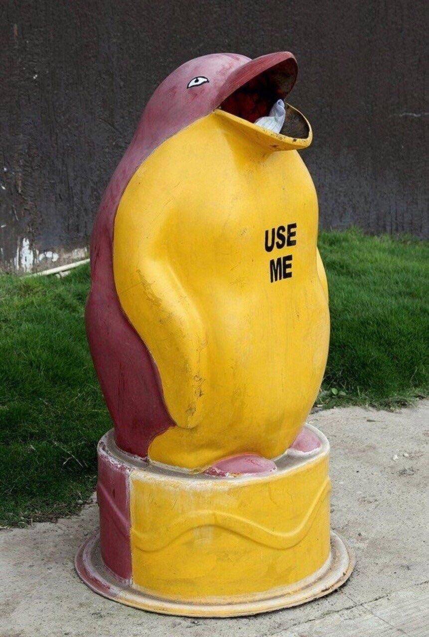 Does this count? | Scrolller