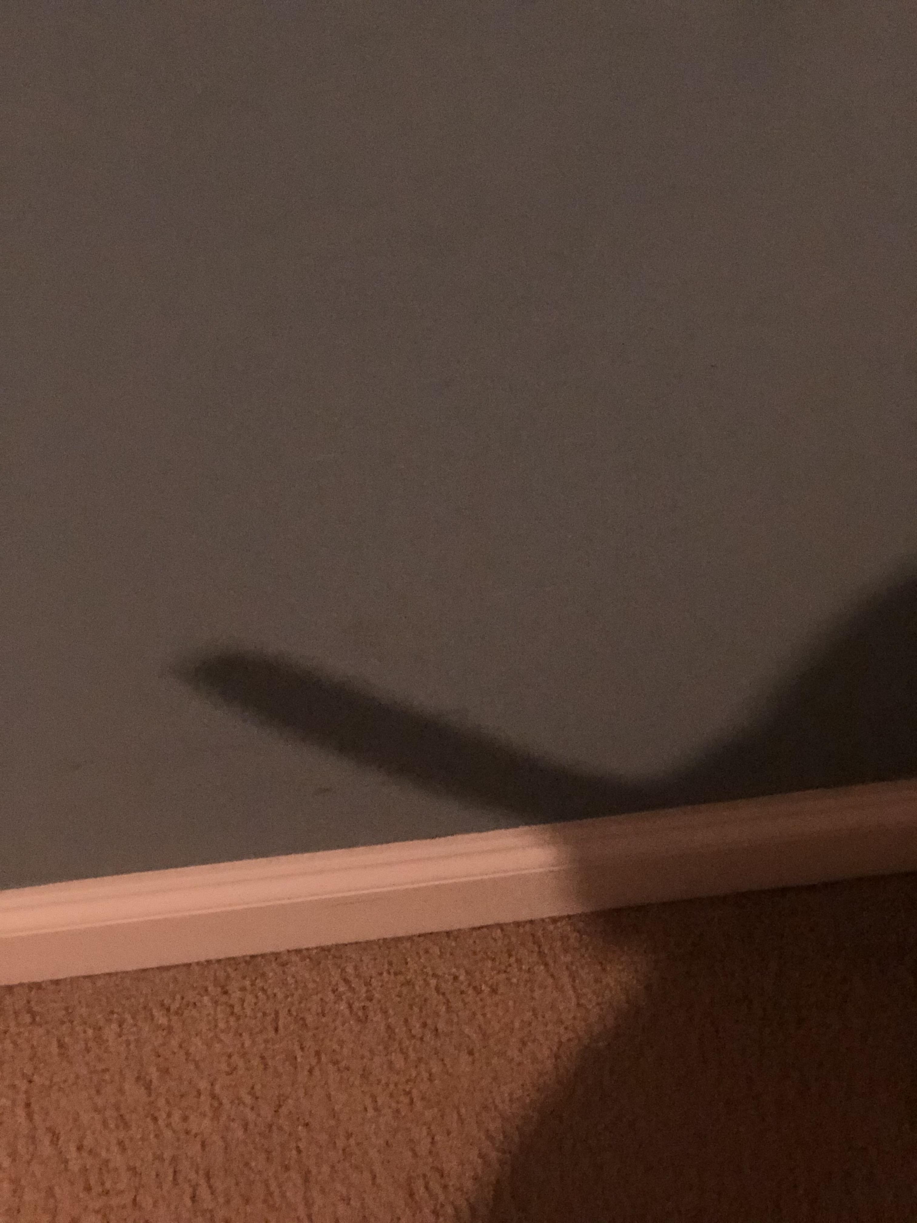 Does this count? (M18) | Scrolller