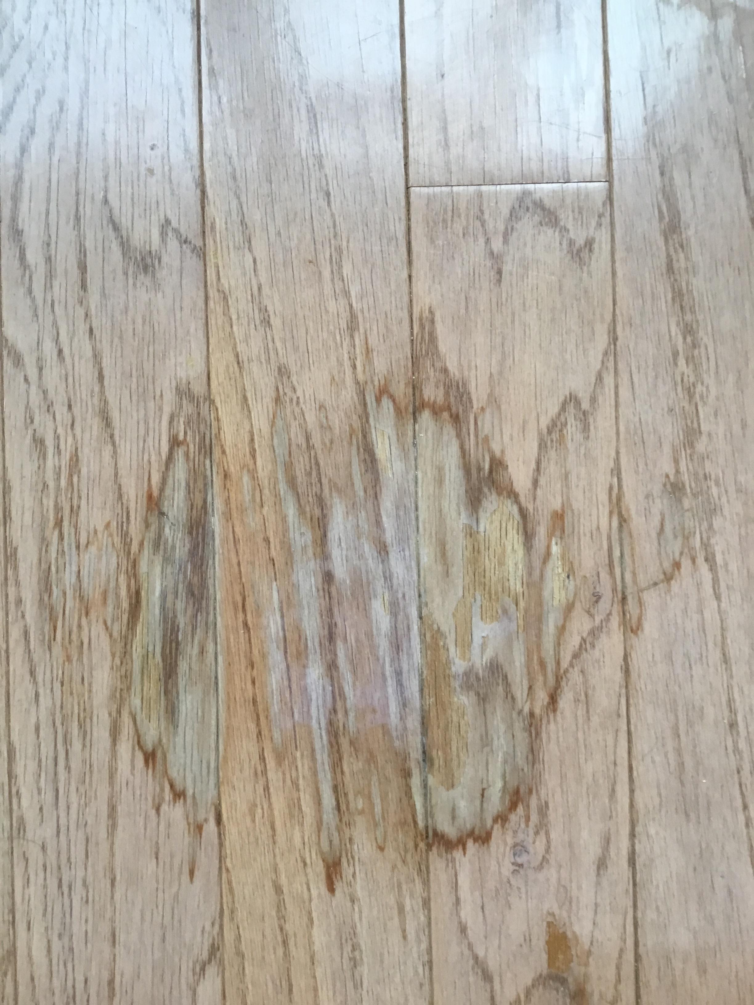 Does this water damaged section need to be replaced right away? | Scrolller