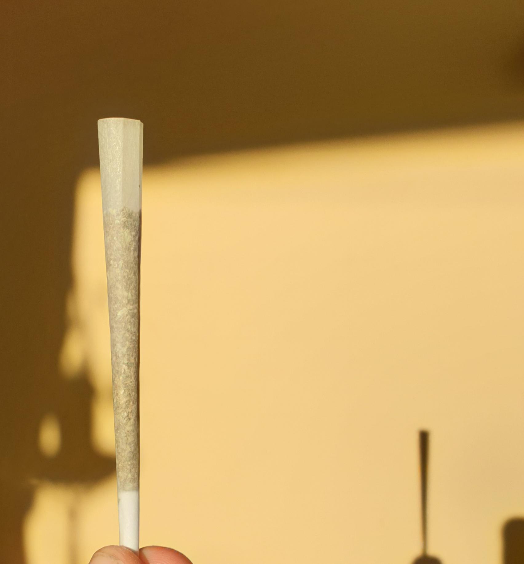 DOG WALK DOOBIE. Cherry Wine Hemp flower, Homegrown Auto 'Skunk' and a sprinkling of grinder ...