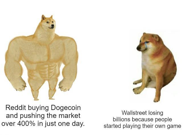 Doge forever! 🚀 | Scrolller