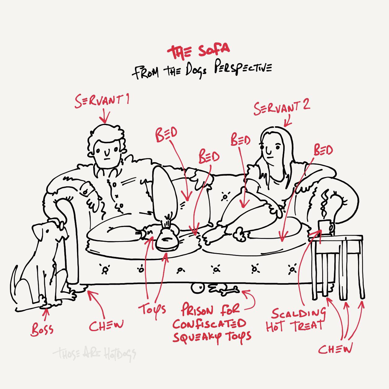 Dogs Eye View [OC] | Scrolller