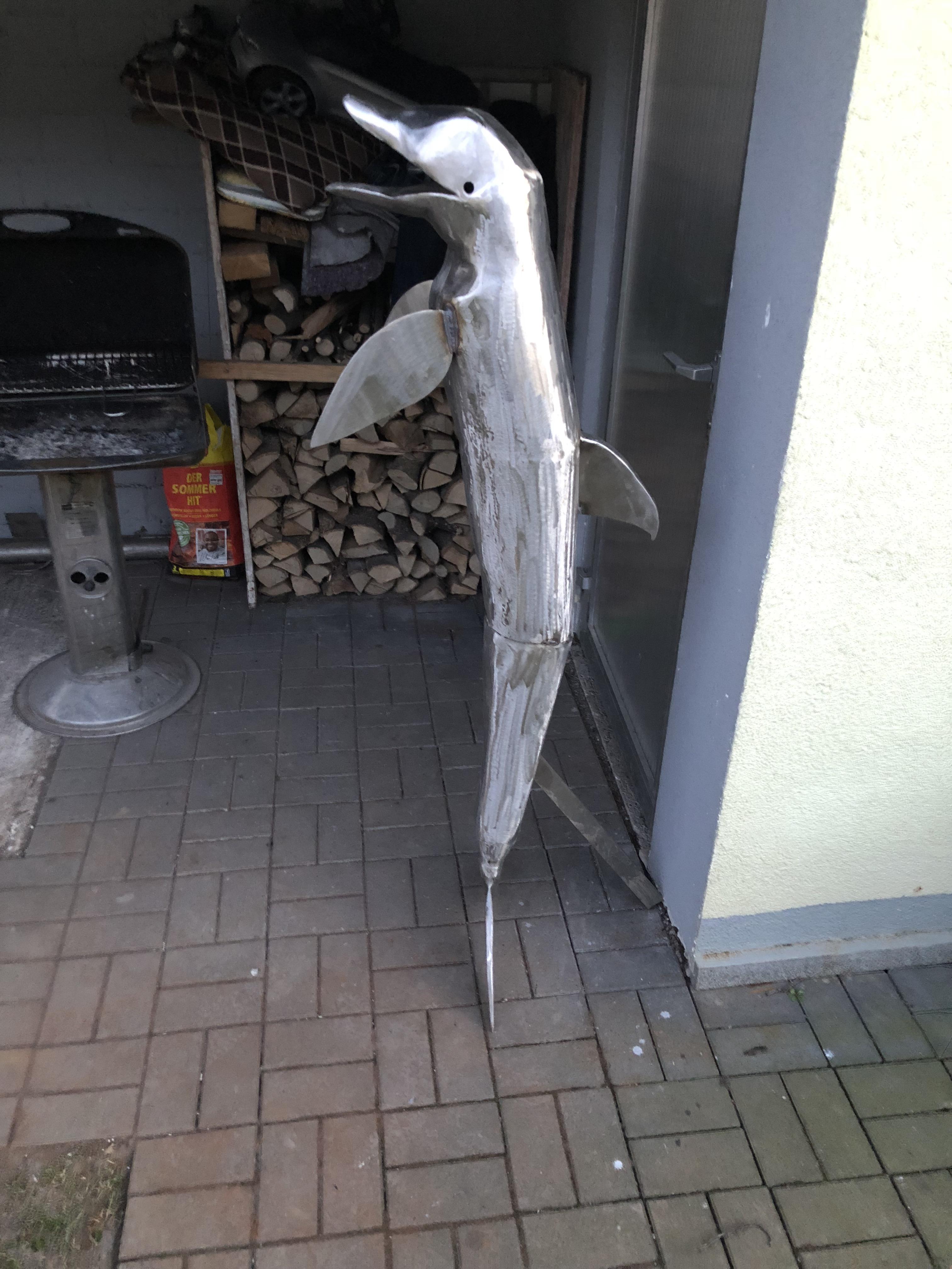 Dolphin TIG | Scrolller