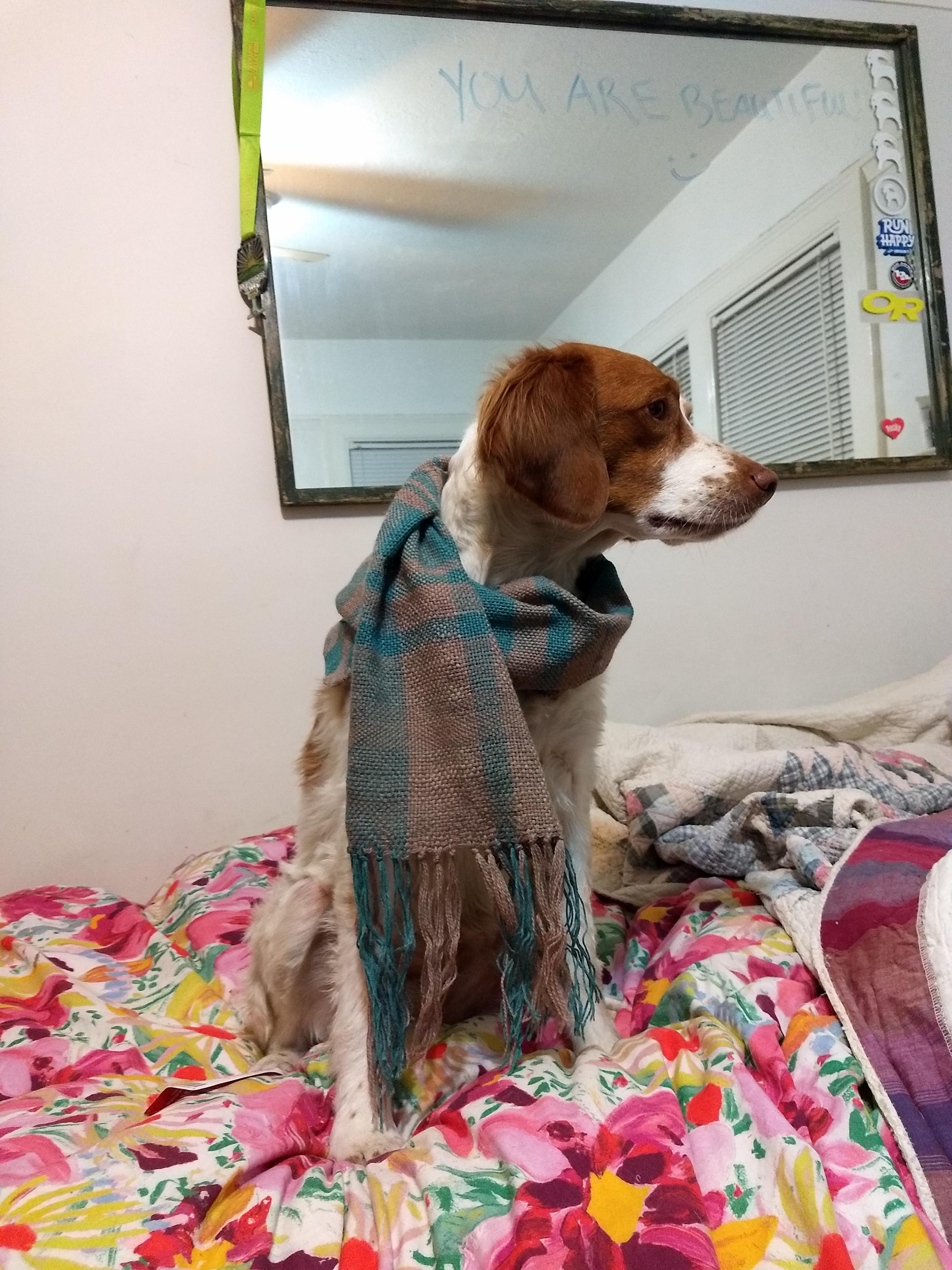 Done with my first project!! | Scrolller