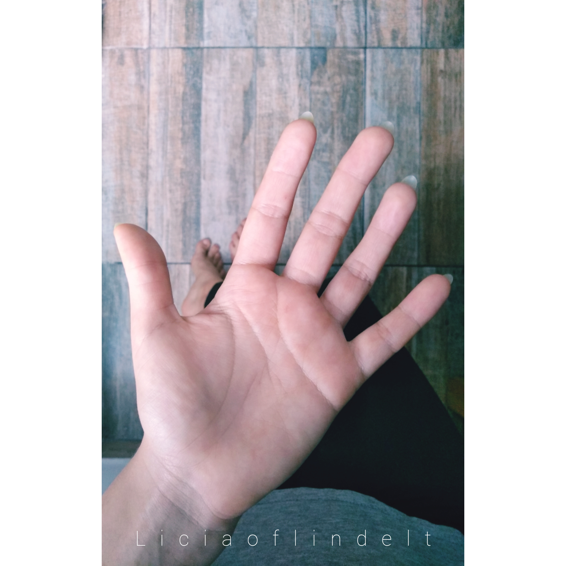 Don't be fooled. | Scrolller