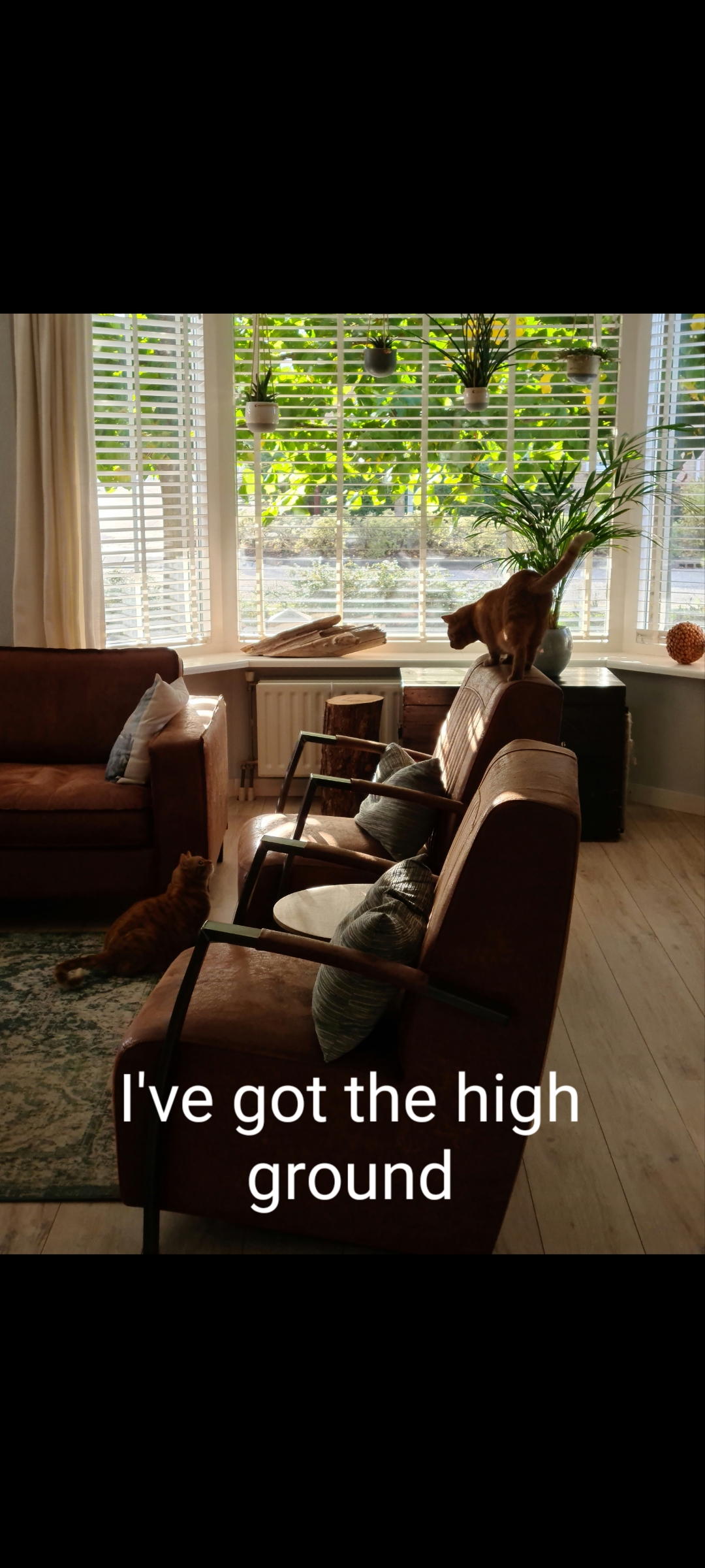 Don't do it anakin | Scrolller