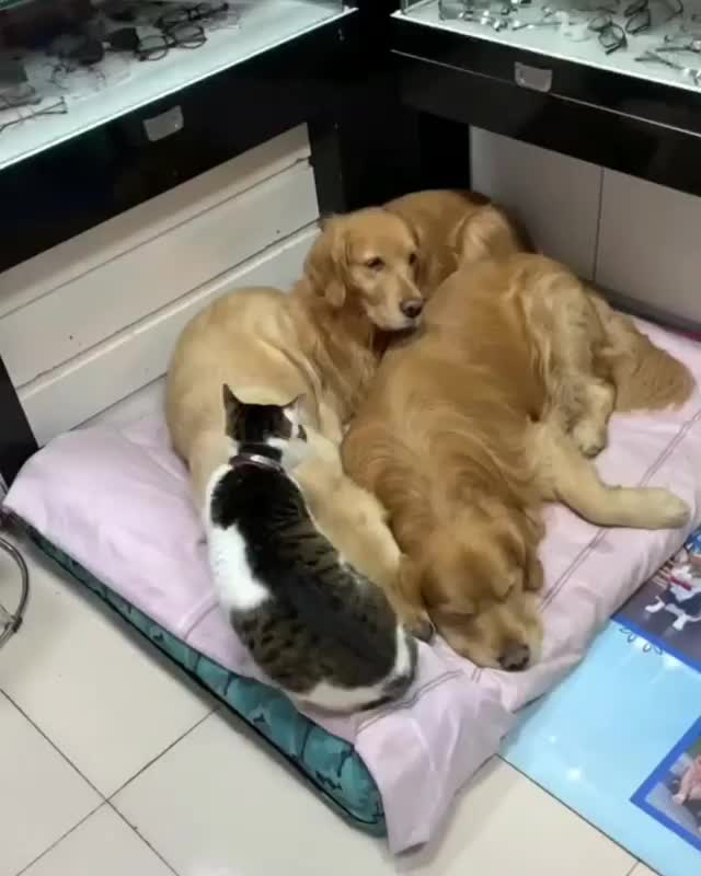 Don't know if this is a repost, if so sorry | Scrolller