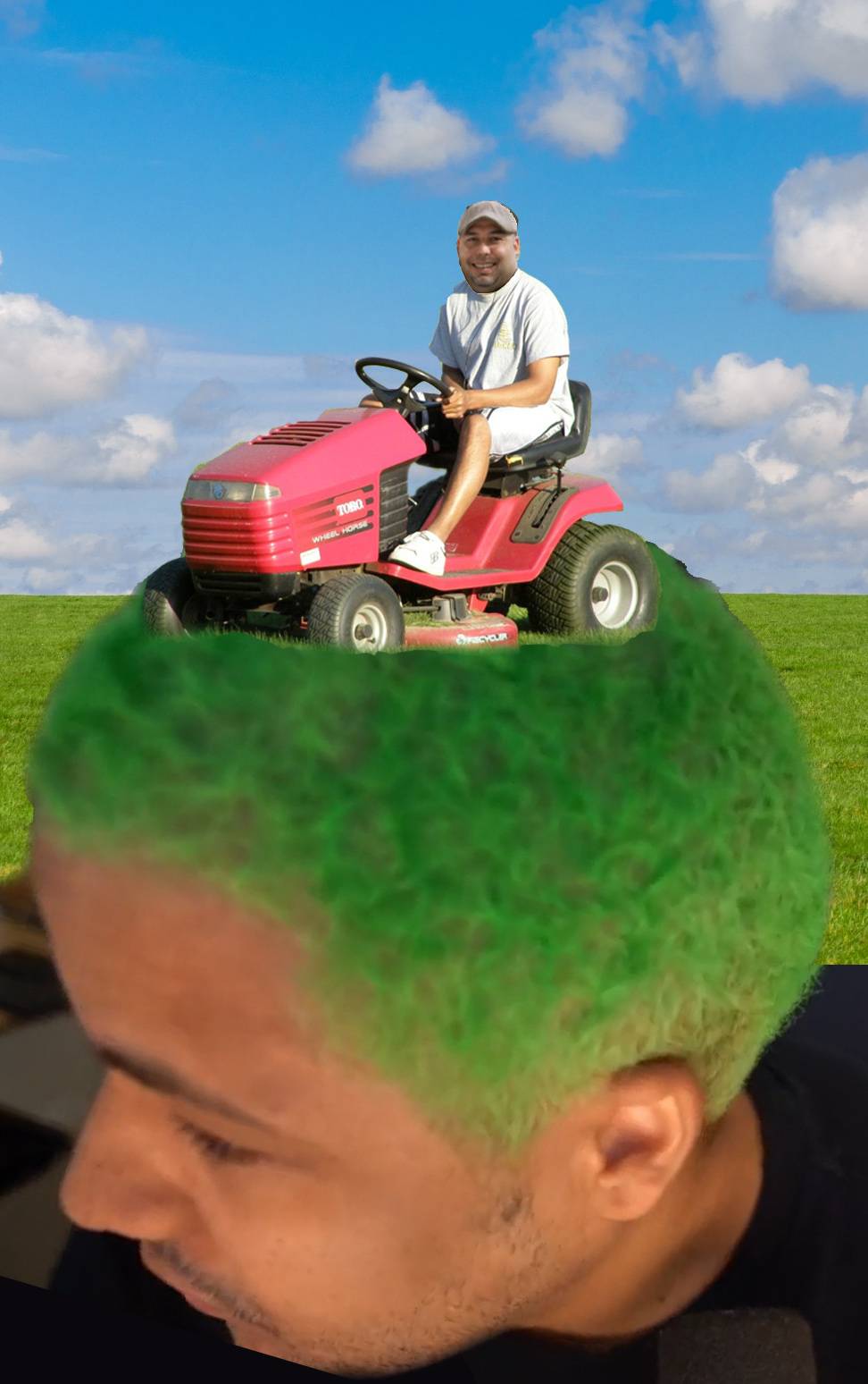 Don't mind me, just mowing the lawn | Scrolller