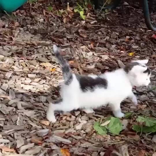 "Don't sneak up on me like that!" | Scrolller