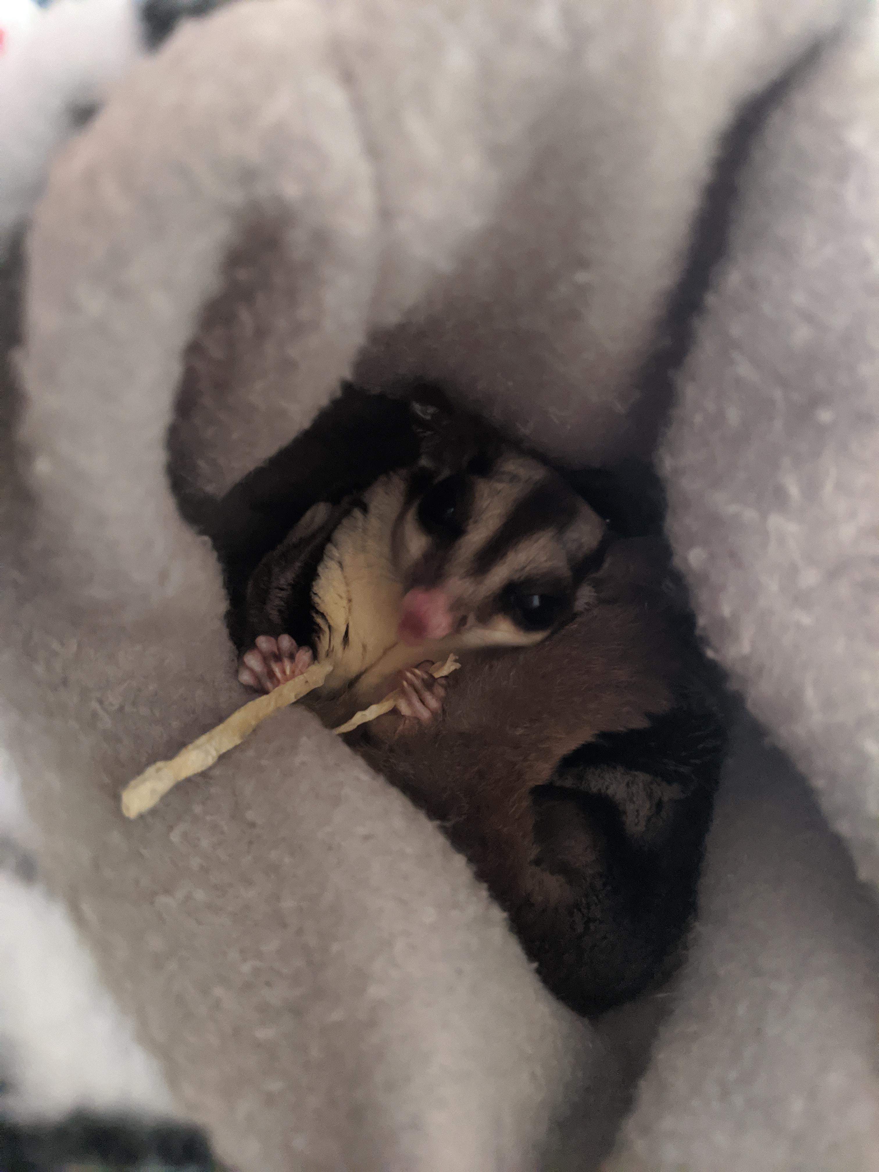 Double fisting the fish snacks 😂😂 | Scrolller