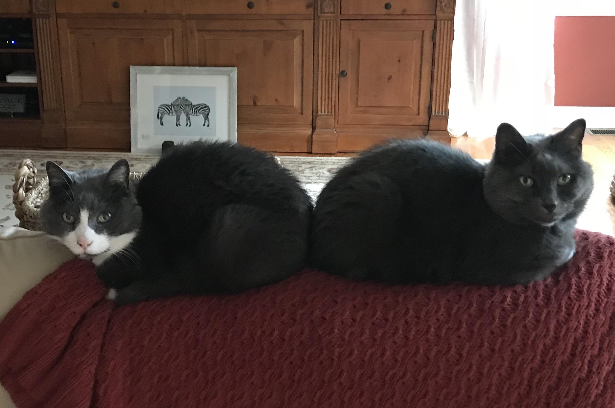 Double loaf | Scrolller