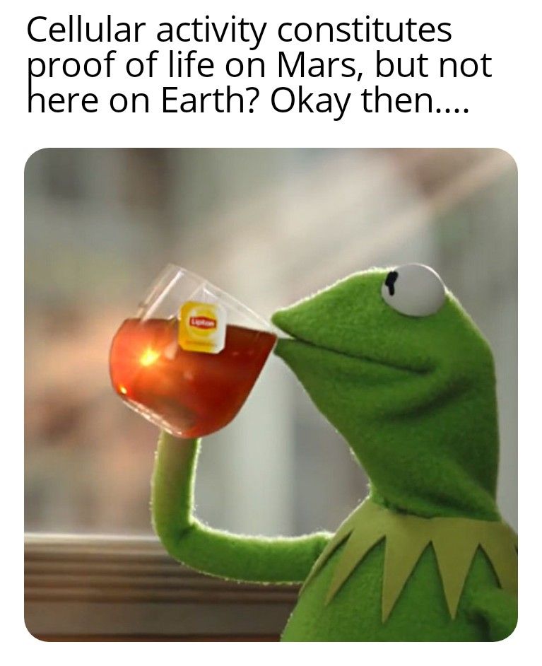 Double standard! | Scrolller