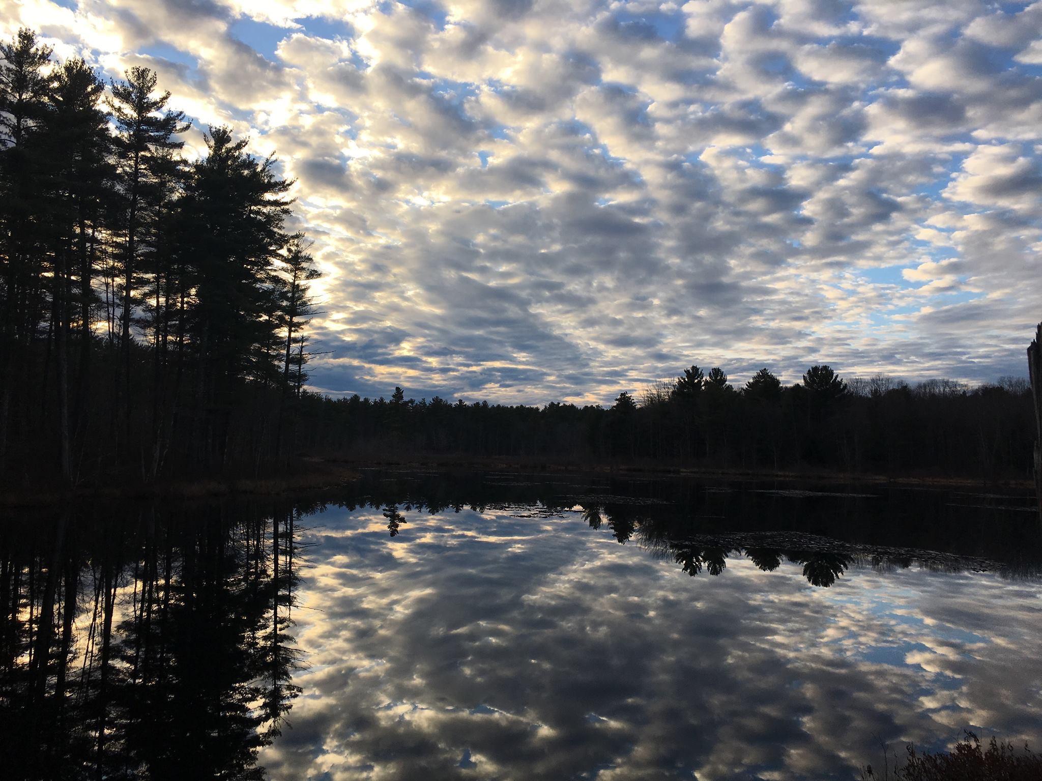 Dover isn’t all bad. 🙃 | Scrolller