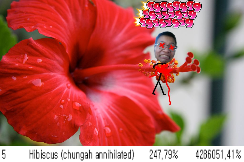 DPS Charts | Scrolller