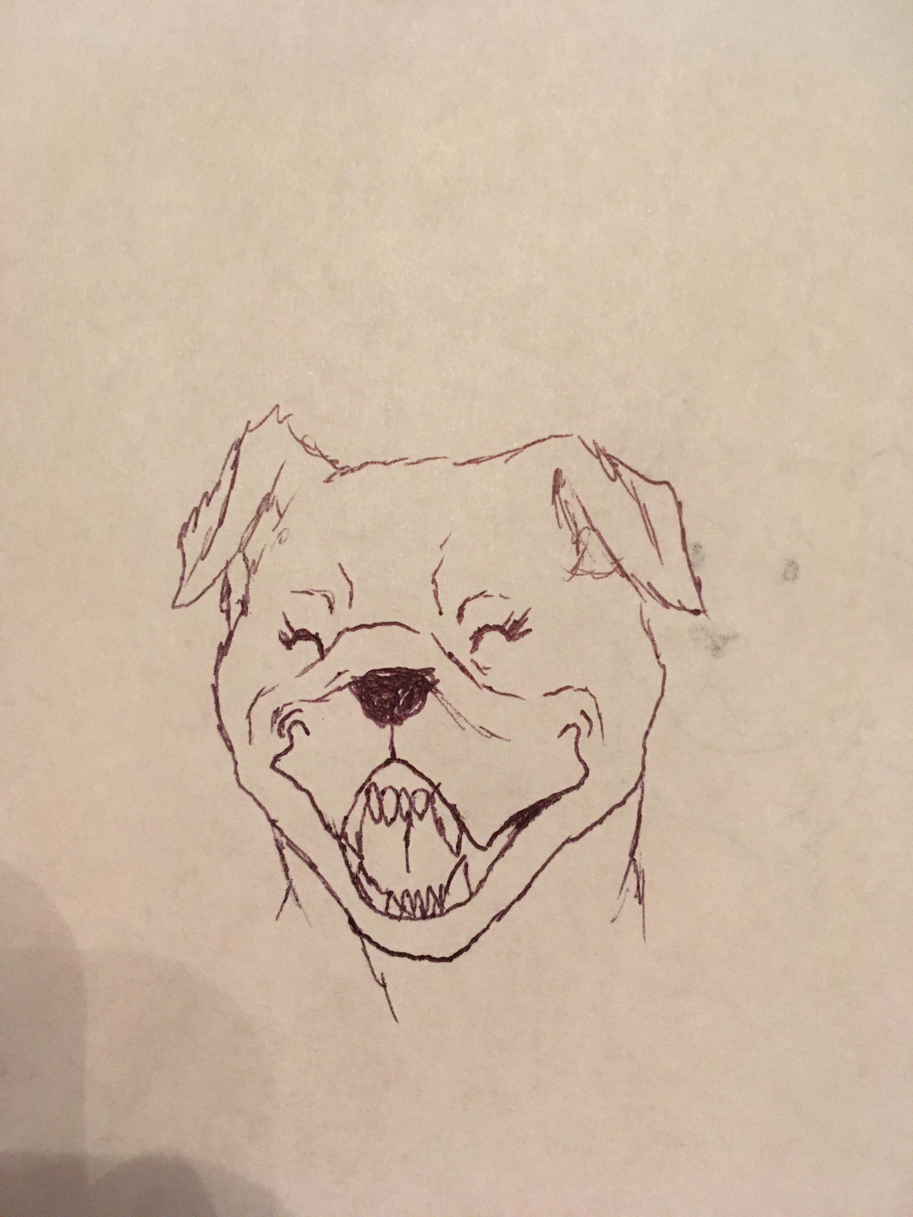 Drawing a beastars bulldog oc, should I continue? | Scrolller