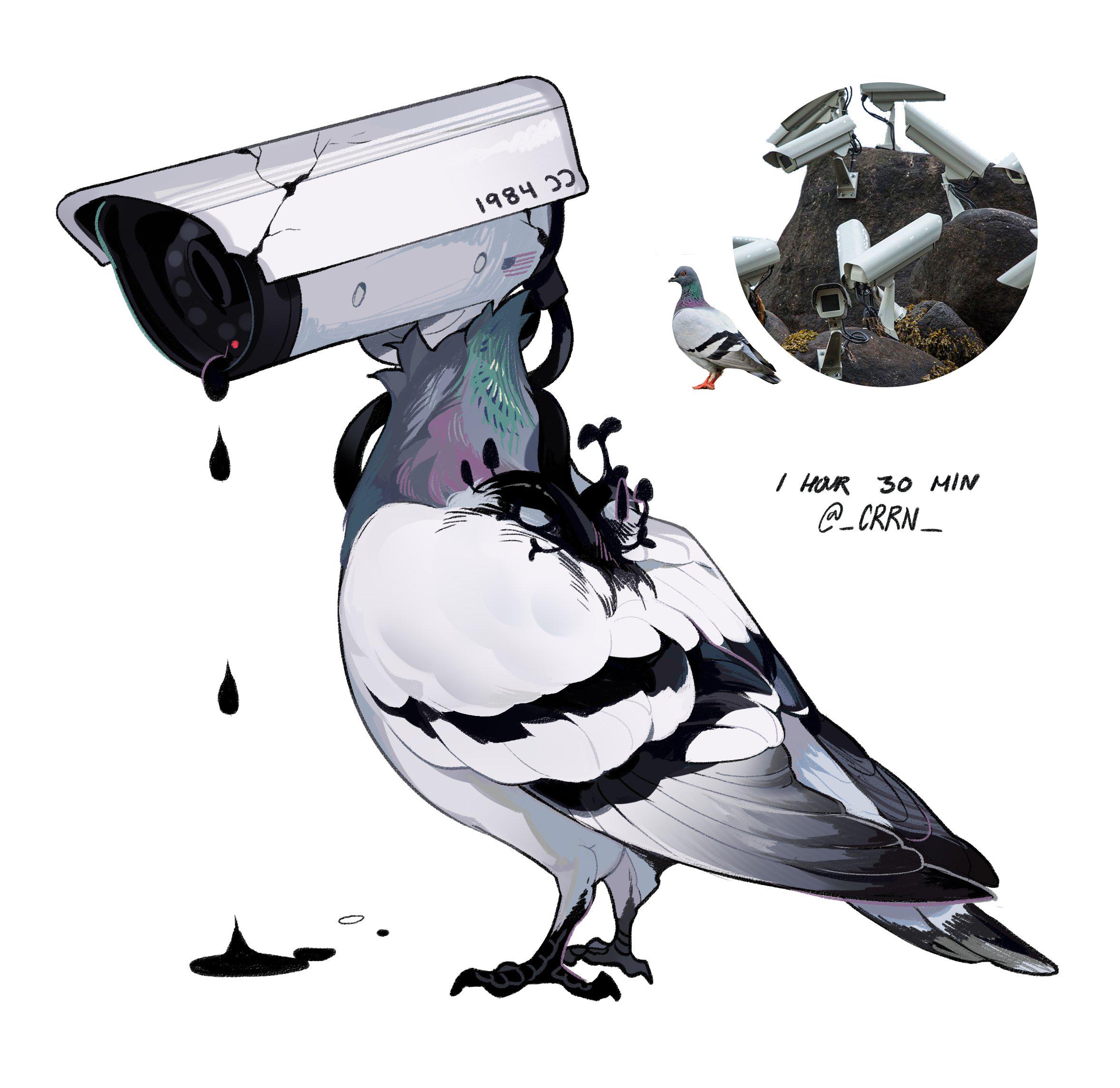 Drone Malfunction | Scrolller