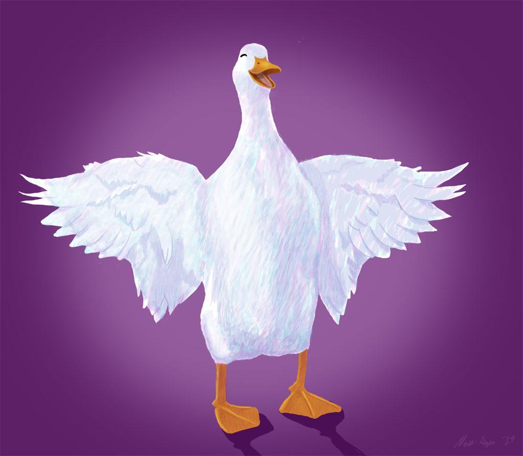 Ducks are pretty cool | Scrolller