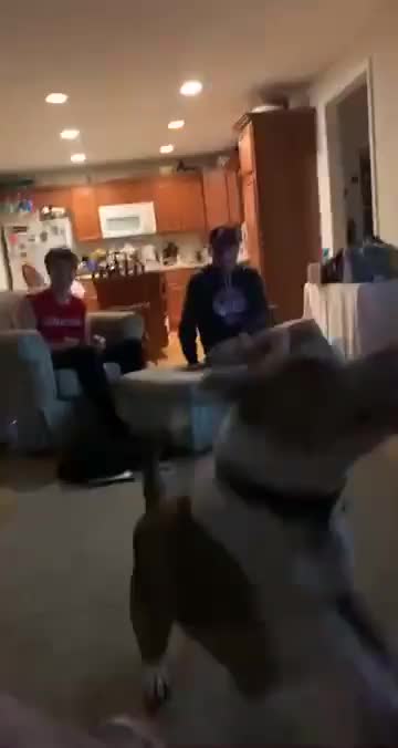 Dude in the back lmao | Scrolller