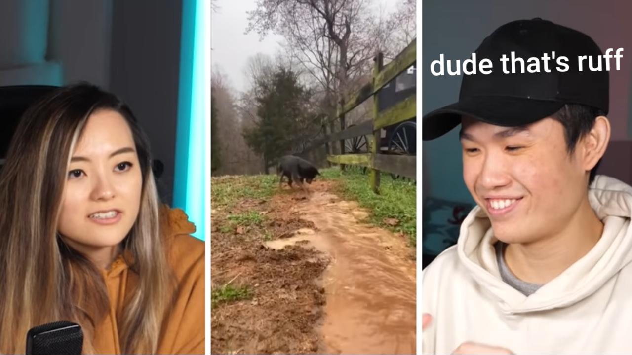 Dude that's ruff | Scrolller