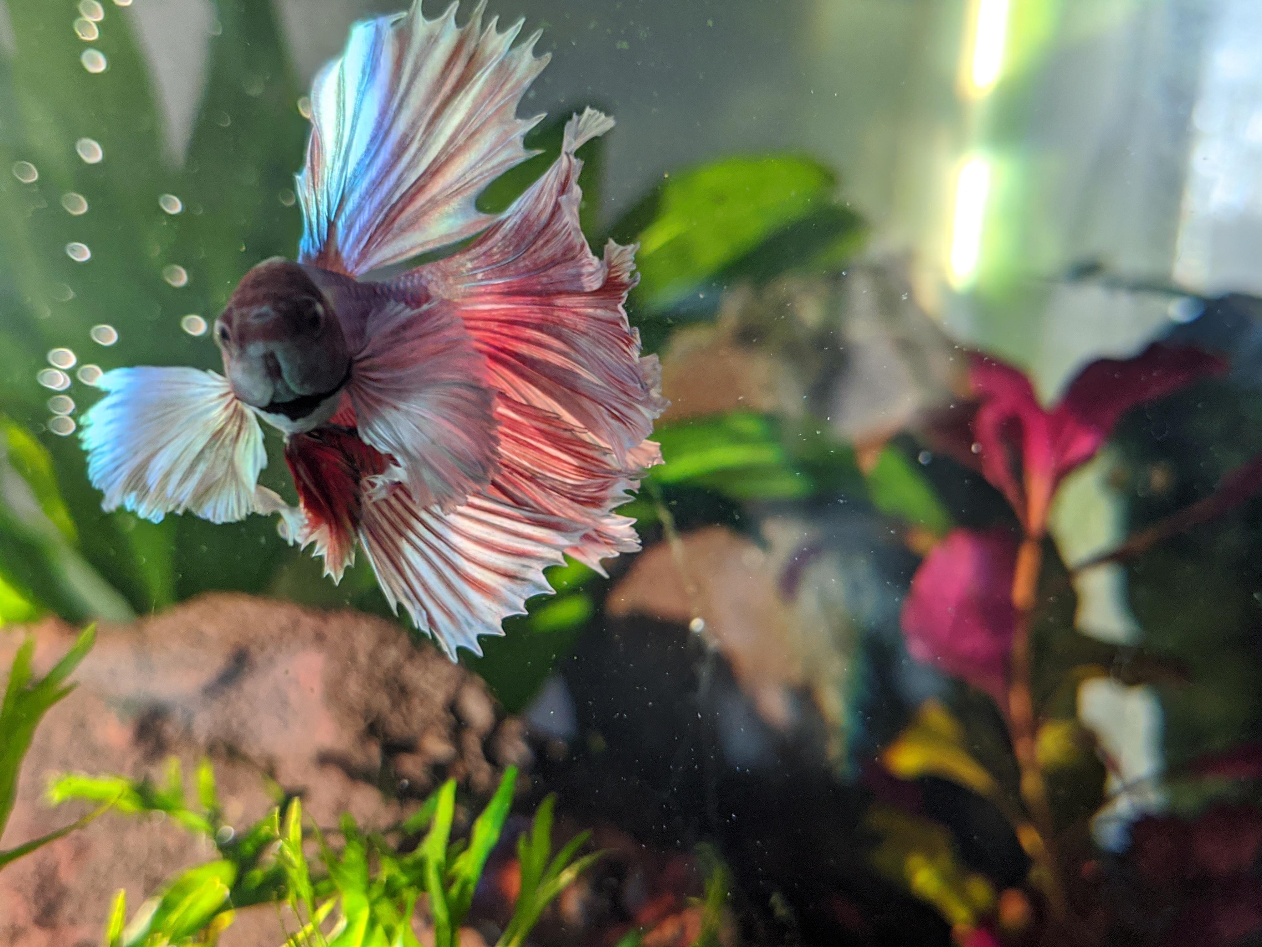 Early morning sass | Scrolller