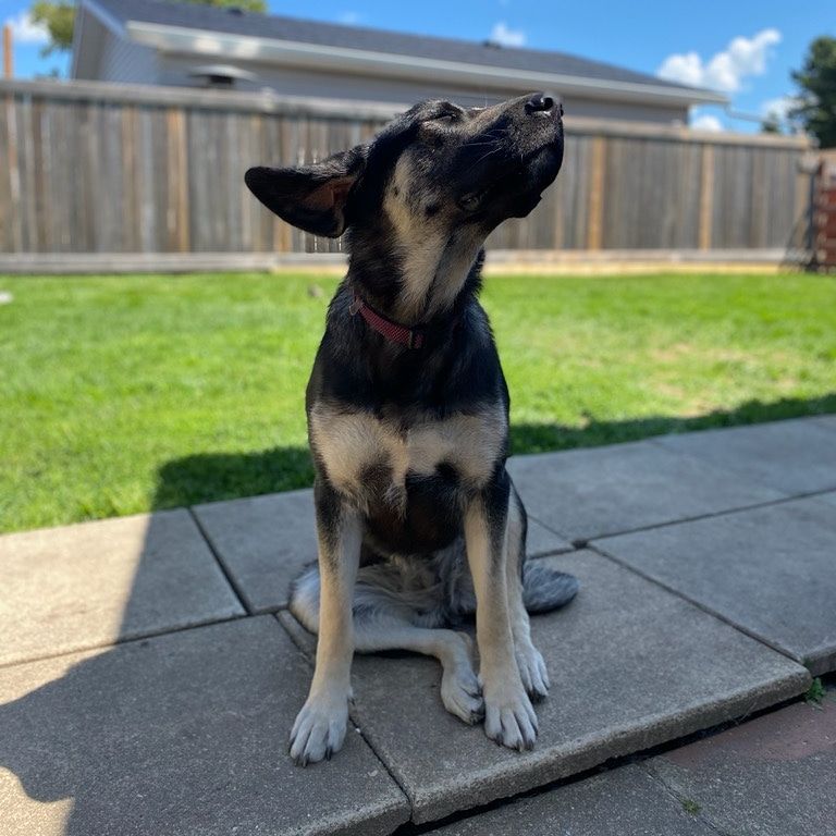 Easy breezy beautiful Covergoodgirl | Scrolller