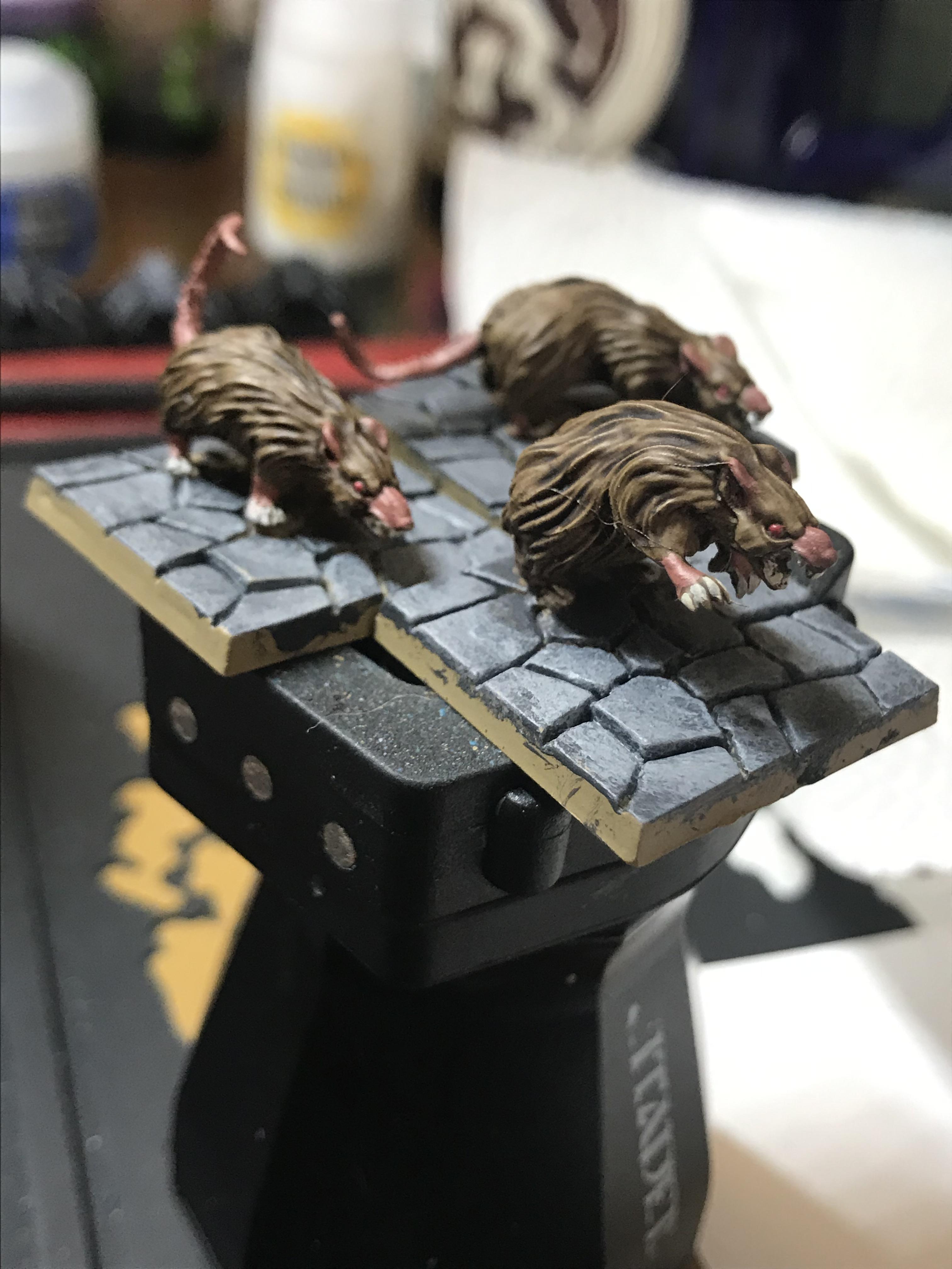 Eek Giant Rats | Scrolller