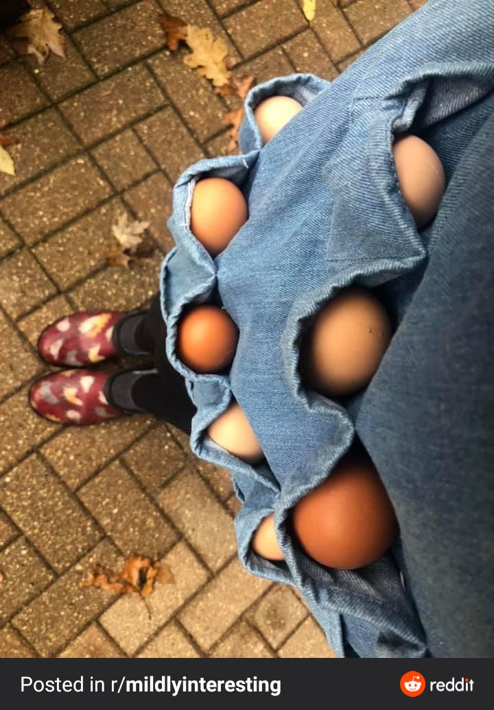 Egg Apron | Scrolller