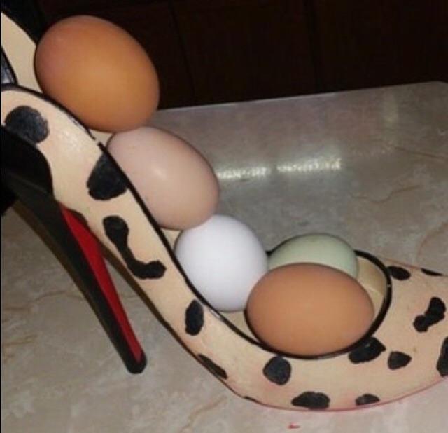 egg shoe | Scrolller