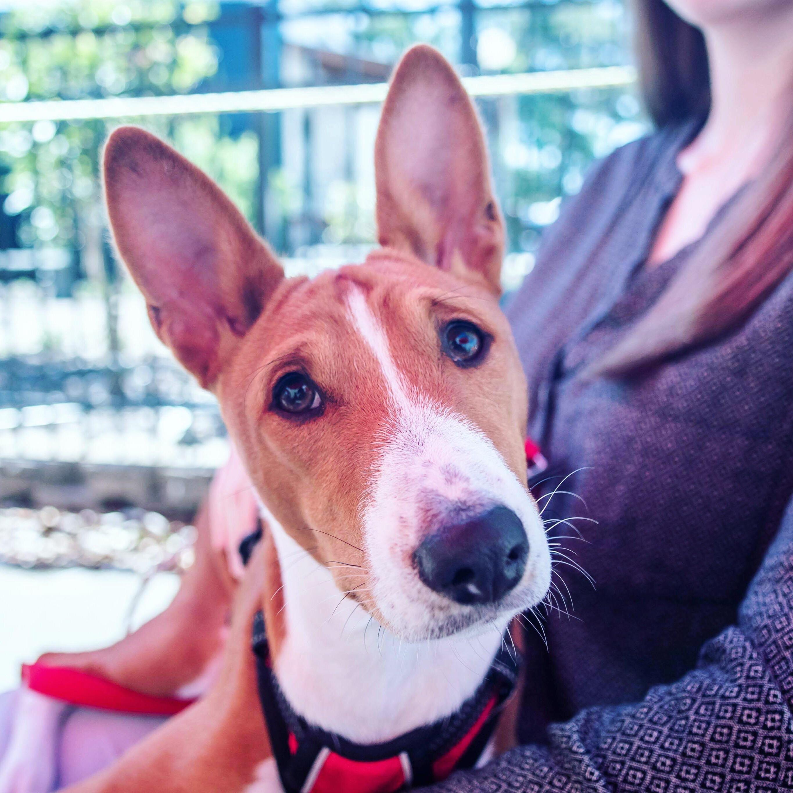 Ekko is loving this weather! | Scrolller