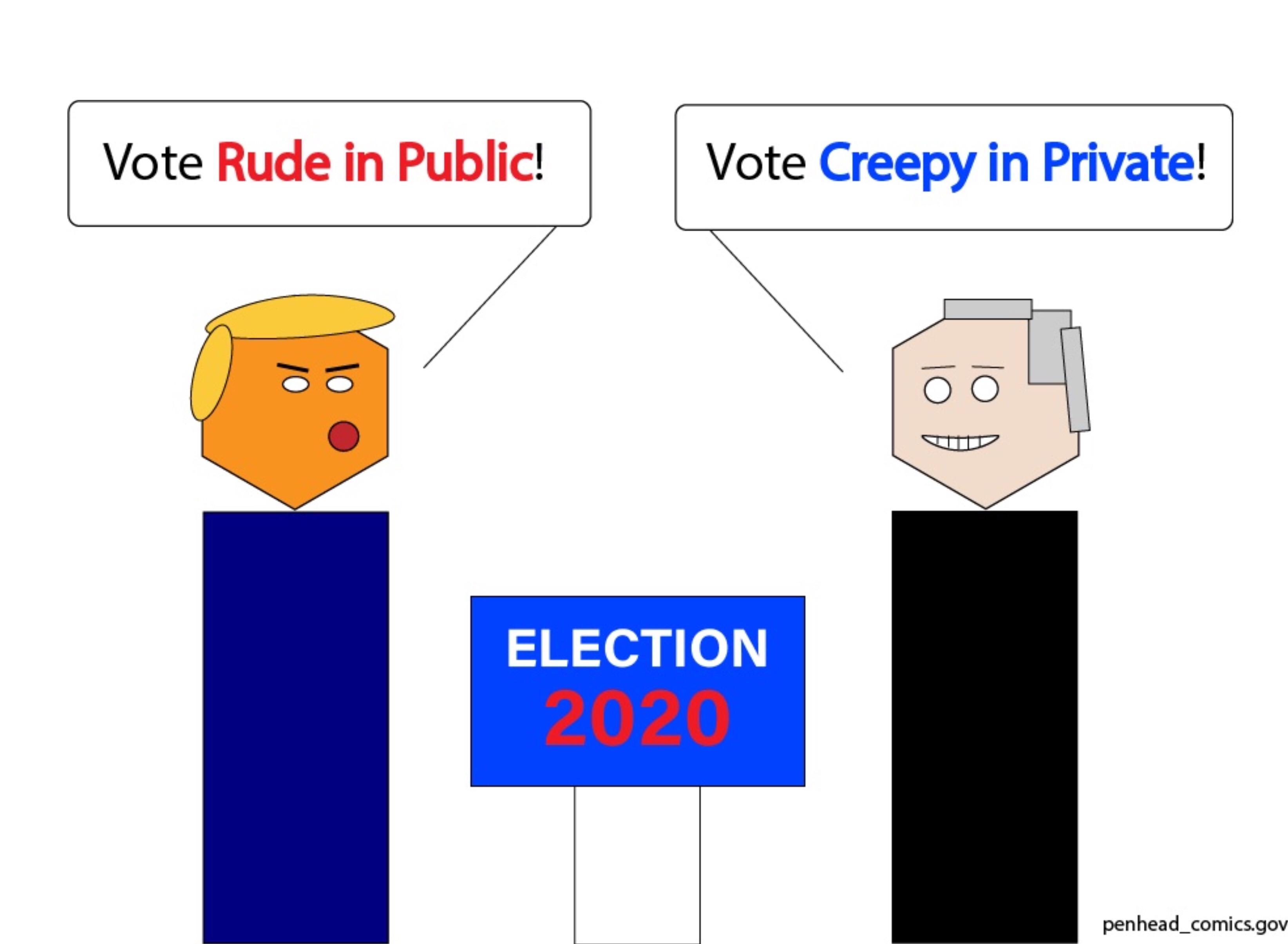 Election 2020 | Scrolller