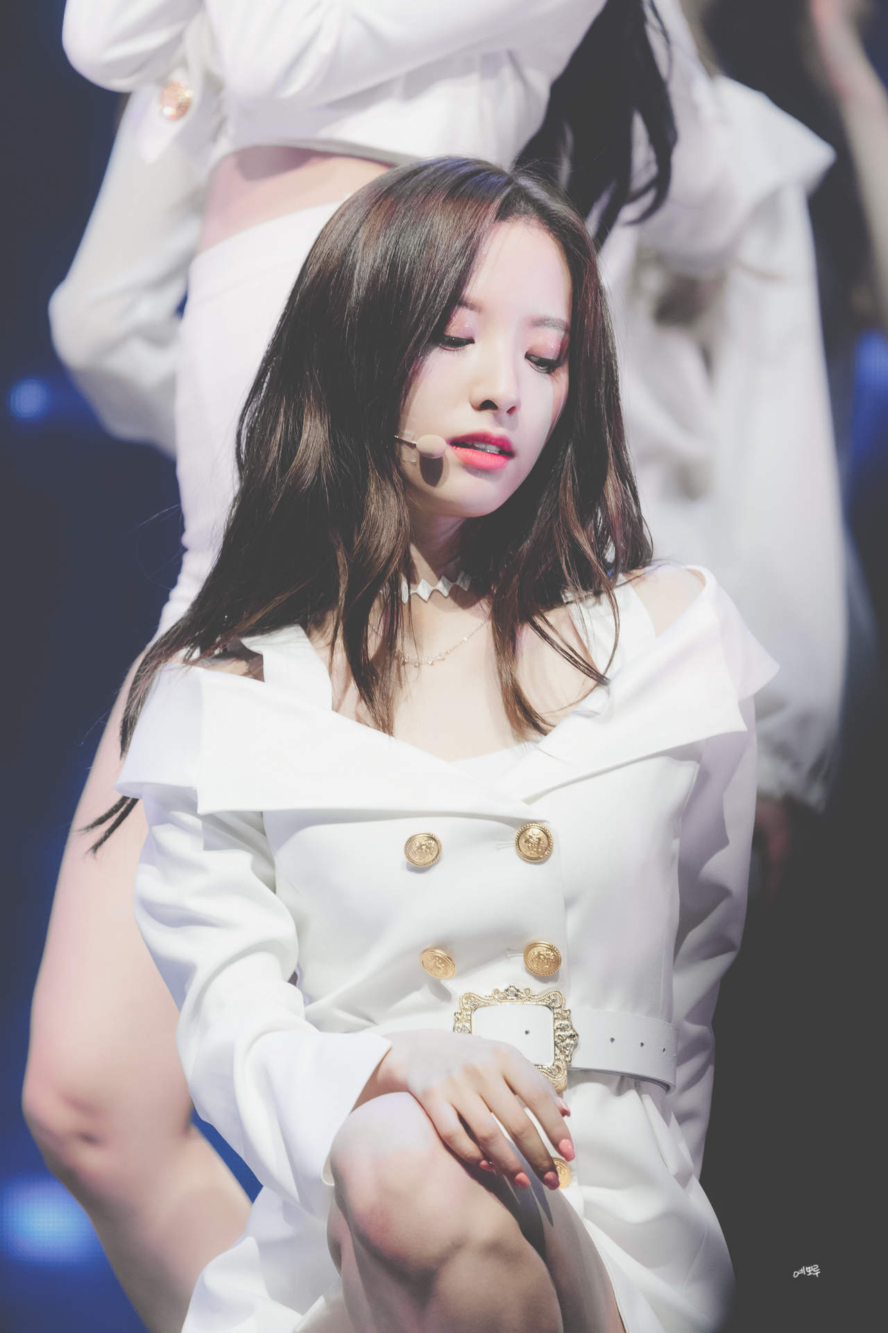 Elegant Bona | Scrolller