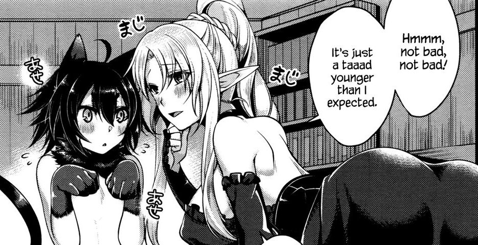 Elf girl + Catboy doujin [nhentai net/g/222075] | Scrolller