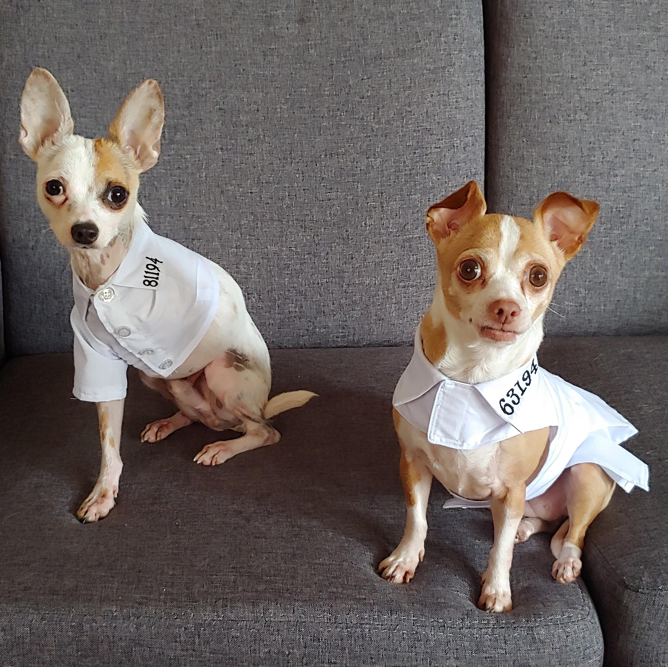 Emma and Ray [spoilerless] | Scrolller