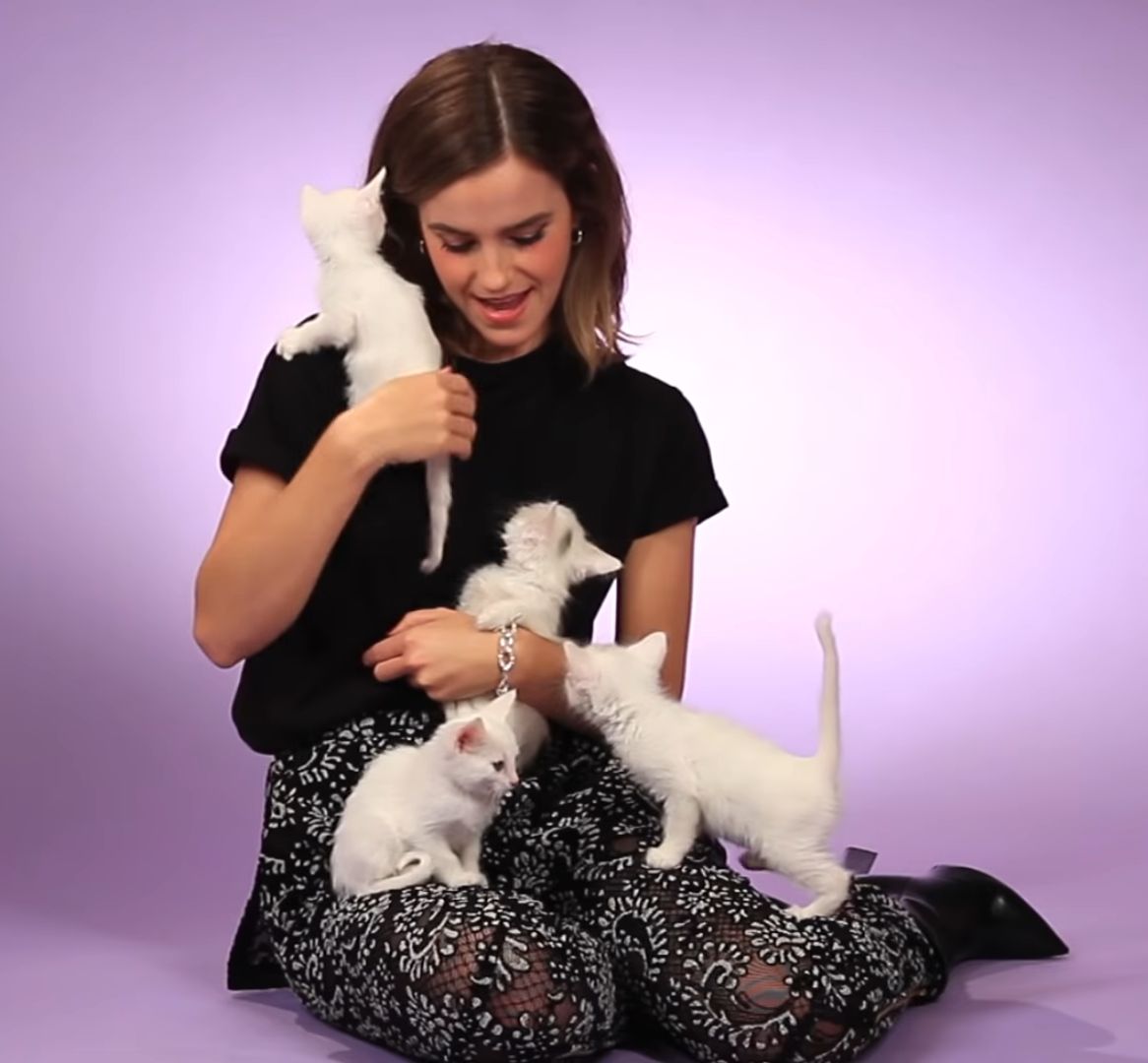 Emma playing with some cute kittens, BuzzFeed. | Scrolller