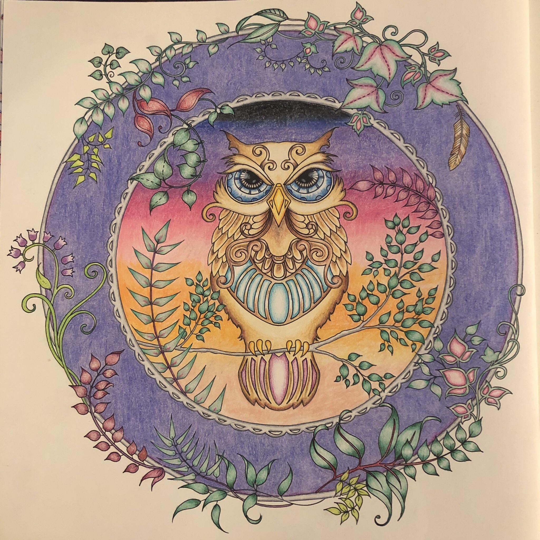 Enchanted Forest by Johanna Basford with Prismacolors 🦉 | Scrolller